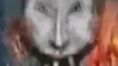 Search the best Roblox Scripts available in community | ScriptBlox