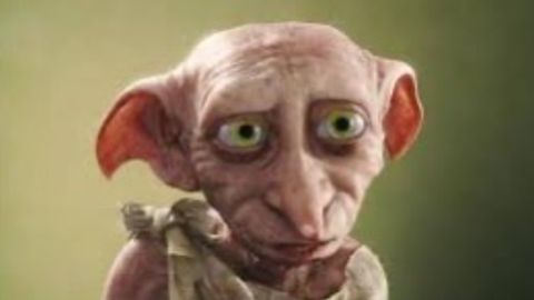 Universal Script 📌 | Script auto Dani v3 — Roblox Scripts | ScriptBlox