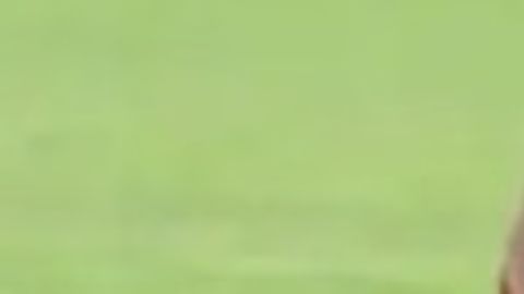 Universal Script 📌 | Ultimate SPY Seriously — Roblox Scripts | ScriptBlox