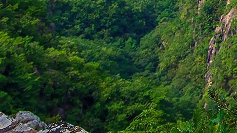 Universal Script 📌 | TRY — Roblox Scripts | ScriptBlox