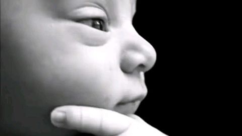 Universal Script 📌 | MV SCRIPTS V4 — Roblox Scripts | ScriptBlox