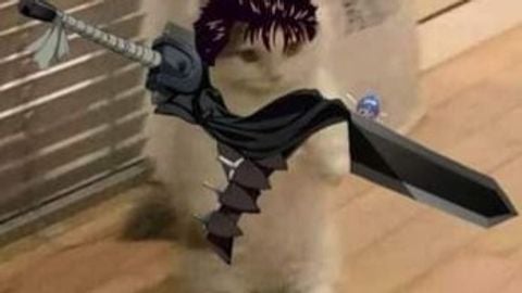 Wanted | Request — Roblox Scripts | ScriptBlox