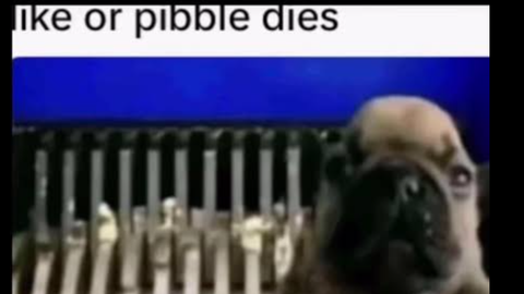 Universal Script 📌 | Ahh forsaken button ig — Roblox Scripts | ScriptBlox