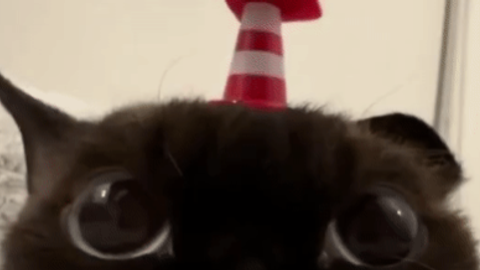 Universal Script 📌 | RConsole key system thingy NOT FOR MOBILE — Roblox Scripts | ScriptBlox