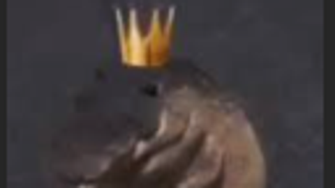 Universal Script 📌 | Aim bot that works at NPC and Players — Roblox Scripts | ScriptBlox