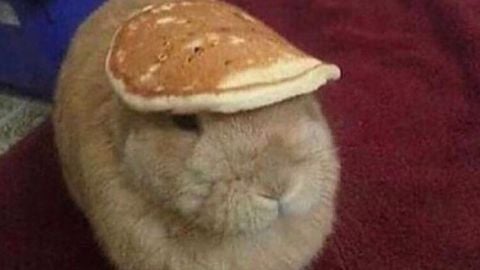 RIVALS | Op Silent Aim — Roblox Scripts | ScriptBlox