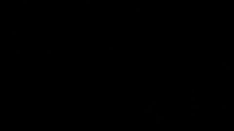 Search the best Roblox Scripts available in community | ScriptBlox