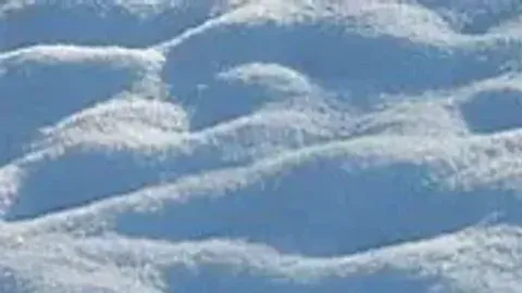 Universal Script 📌 | Get Some Gears — Roblox Scripts | ScriptBlox