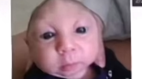 Blocks n' Props | autowin — Roblox Scripts | ScriptBlox