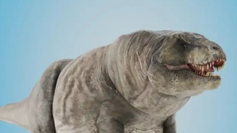 Fish It! 🐟 | Blackhub Best Fish It Script — Roblox Scripts | ScriptBlox