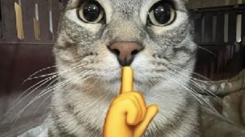 Universal Script 📌 | RC7 Executor Remake — Roblox Scripts | ScriptBlox