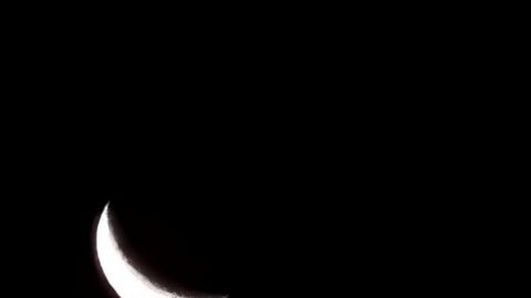 Universal Script 📌 | Argon Hub X KEYLESS — Roblox Scripts | ScriptBlox