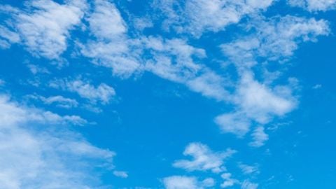 Universal Script 📌 | Delta Customization Module — Roblox Scripts | ScriptBlox