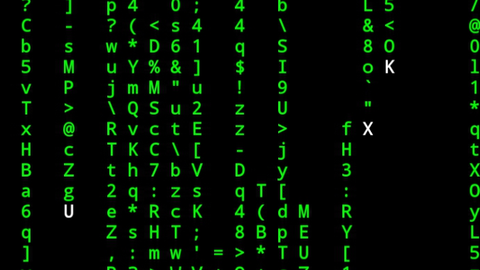 Universal Script 📌 | Custom output color — Roblox Scripts | ScriptBlox