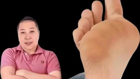 Universal Script 📌 | Smooth 3rd Person Camera — Roblox Scripts | ScriptBlox