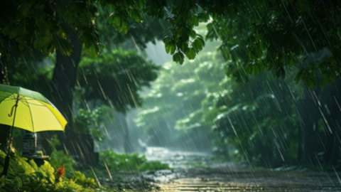 Universal Script 📌 | GG GAME HUB — Roblox Scripts | ScriptBlox