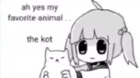 Universal Script 📌 | Kiwi X EXECUTOR UI GUI — Roblox Scripts | ScriptBlox