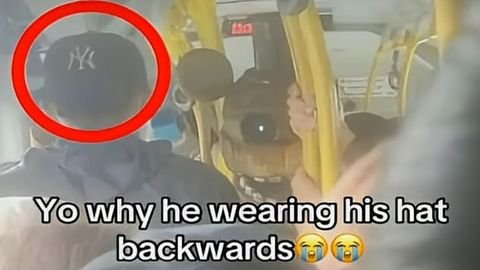 Universal Script 📌 | Bot Control — Roblox Scripts | ScriptBlox