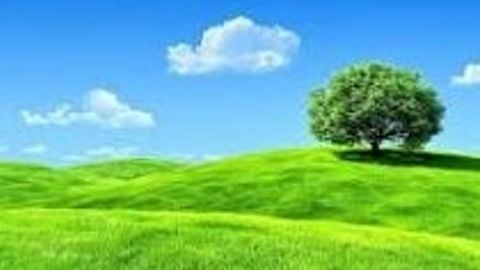 Universal Script 📌 | Kick Player and Data Loss — Roblox Scripts | ScriptBlox