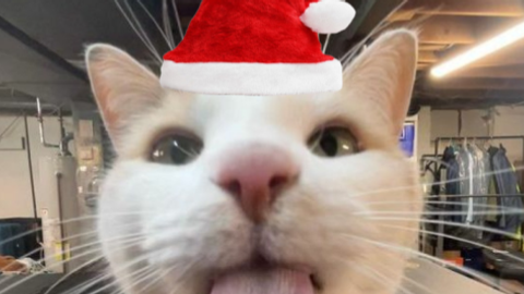 Universal Script 📌 | ZIYA HUB — Roblox Scripts | ScriptBlox