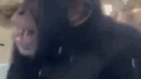 Universal Script 📌 | MUTAGEN Universal Desync — Roblox Scripts | ScriptBlox