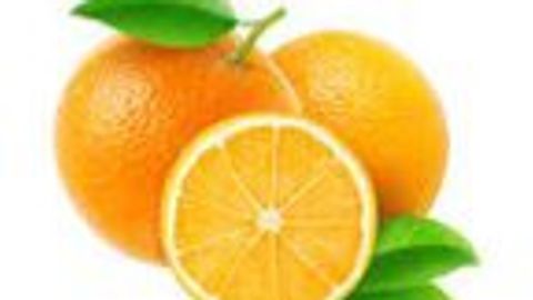 Universal Script 📌 | system broken — Roblox Scripts | ScriptBlox