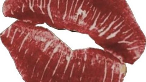 Universal Script 📌 | Player Inventory Checker — Roblox Scripts | ScriptBlox