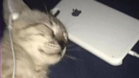 Universal Script 📌 | Universal lock — Roblox Scripts | ScriptBlox