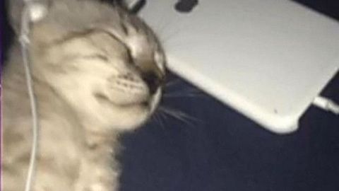 Universal Script 📌 | Universal lock — Roblox Scripts | ScriptBlox