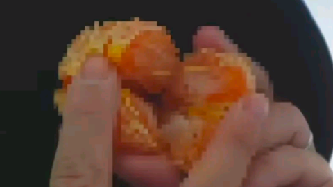 Universal Script 📌 | Game Motion Blur 240 FPS — Roblox Scripts | ScriptBlox