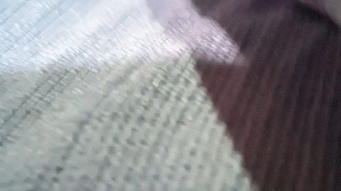 Search the best Roblox Scripts available in community | ScriptBlox