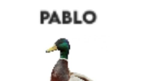 Universal Script 📌 | Animation player — Roblox Scripts | ScriptBlox