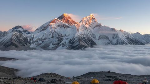 Feed Your Pet! | Good Script — Roblox Scripts | ScriptBlox