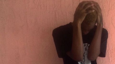 Dig the Backyard [Alpha] | (Mobile/PC) — Roblox Scripts | ScriptBlox