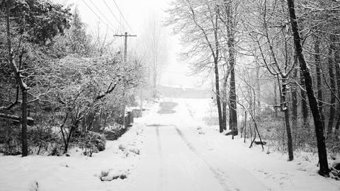 Universal Script 📌 | silent aim — Roblox Scripts | ScriptBlox