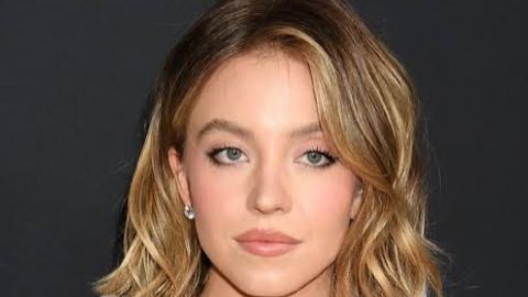 Feed Your Pet! | Silent Scripts ( key less ) — Roblox Scripts | ScriptBlox