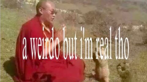 Universal Script 📌 | Lalol Hub Legacy Backdoor — Roblox Scripts | ScriptBlox