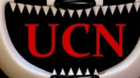 Universal Script 📌 | c00lgui Client Side — Roblox Scripts | ScriptBlox