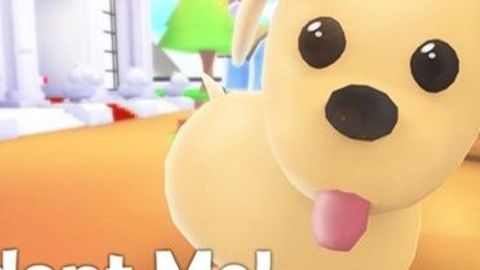 Universal Script 📌 | R15 to R6 — Roblox Scripts | ScriptBlox