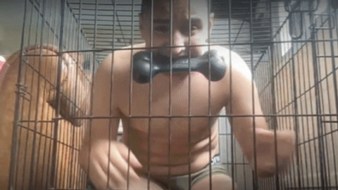 Universal Script 📌 | Universal Vehicle Speed Multiplier — Roblox Scripts | ScriptBlox