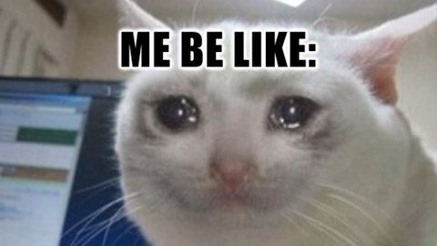 Universal Script 📌 | Infinite Yield Admin Commands Script — Roblox Scripts | ScriptBlox