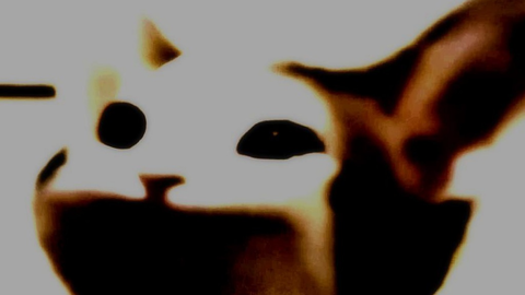 The Strongest Battlegrounds | tsb secret location tp script — Roblox ...