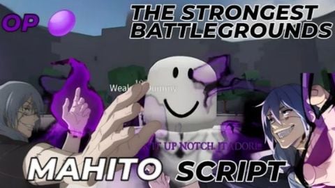 Universal Script 📌 | FPS Booster (Quality Reducer) — Roblox Scripts | ScriptBlox