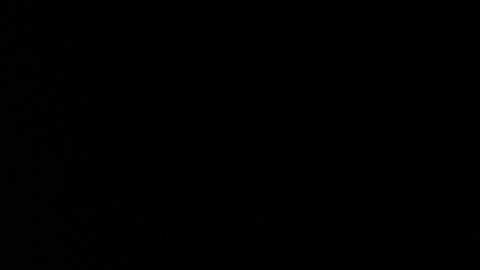 Universal Script 📌 | Script hub v3 — Roblox Scripts | ScriptBlox