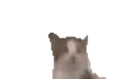 The Chosen One | suggestion script — Roblox Scripts | ScriptBlox