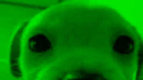 🎃 RCPD:FR | Halloween Update👻 | RCPD FR HUB car s*er gun mod — Roblox ...