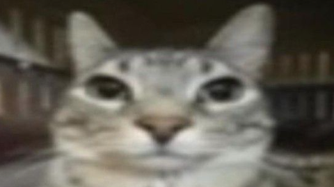 Plinko RNG 💸 | INF Money Farm — Roblox Scripts | ScriptBlox