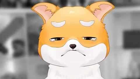 Universal Script 📌 | Zephyrix Hub — Roblox Scripts | ScriptBlox