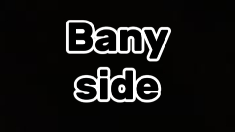 Universal Script 📌 | Bany side — Roblox Scripts | ScriptBlox