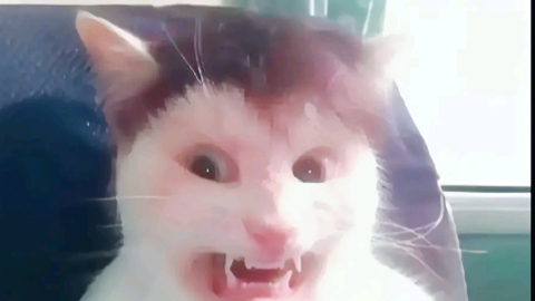 Final Stand: Remastered | AUTOFARM AUTO CHARGE AND MORE FEATURES GUI ...